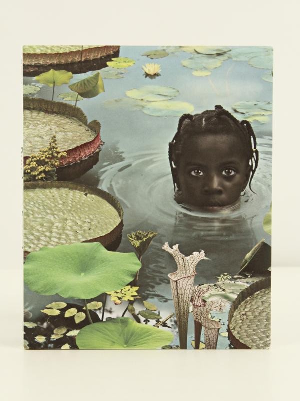 Ruud van Empel - 25 Years of Photo Works 1995-2020 - Kringwinkel